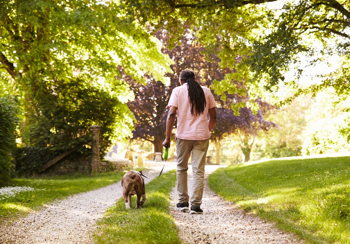 How Are Dogs Useful To Humans how-are-dogs-useful-to-humans